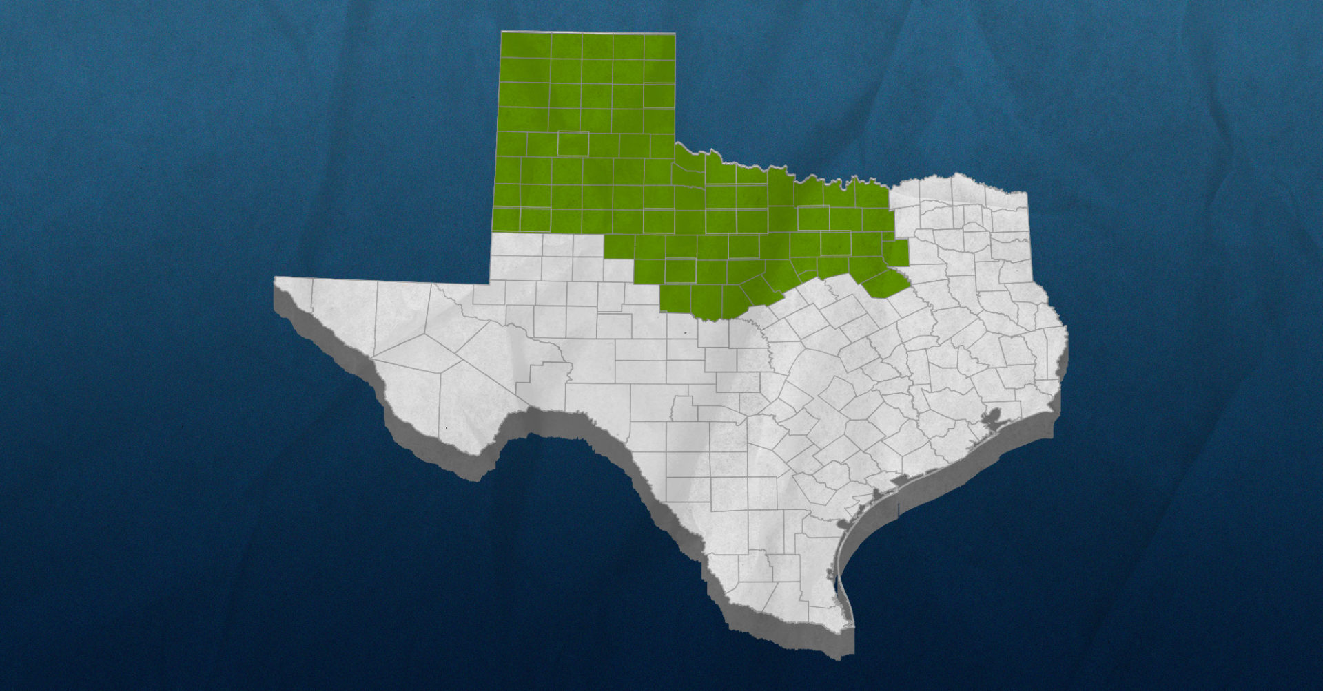 Redistricting Committee Meets to Discuss North Texas - Reform Austin